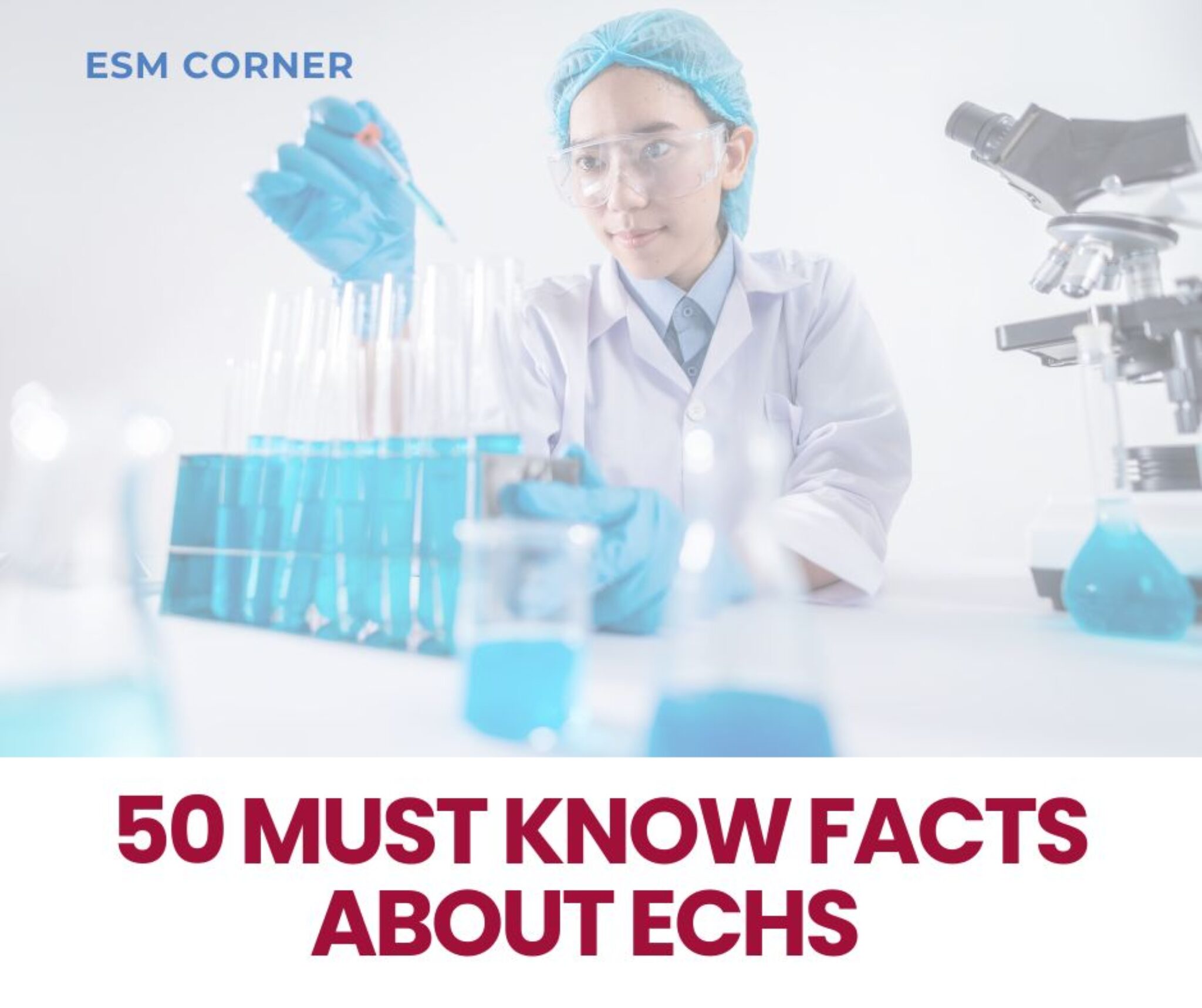Top 50 ECHS Insights for Veterans and Families